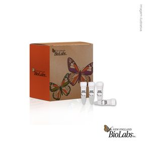 BLUNT/TA LIGASE MASTER MIX - 50 REAÇÕES - uniscience